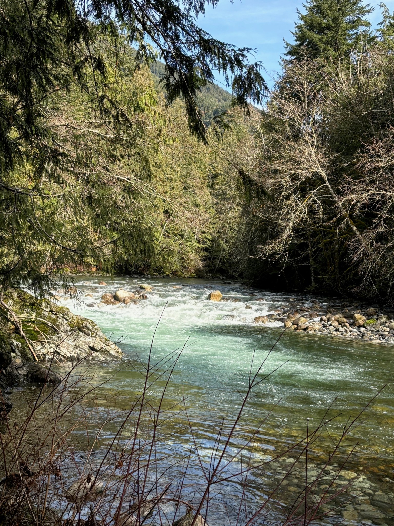 Chipmunk Peninsula | Fireside Camping