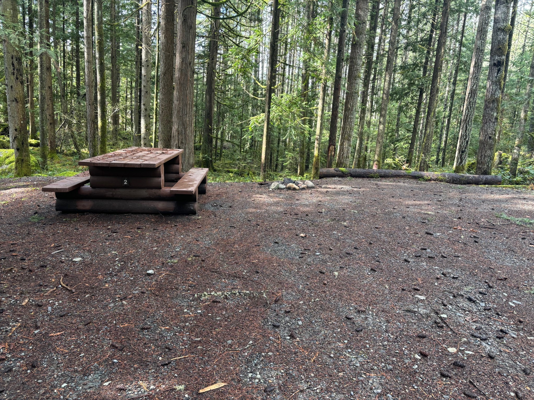 Rapids | Fireside Camping