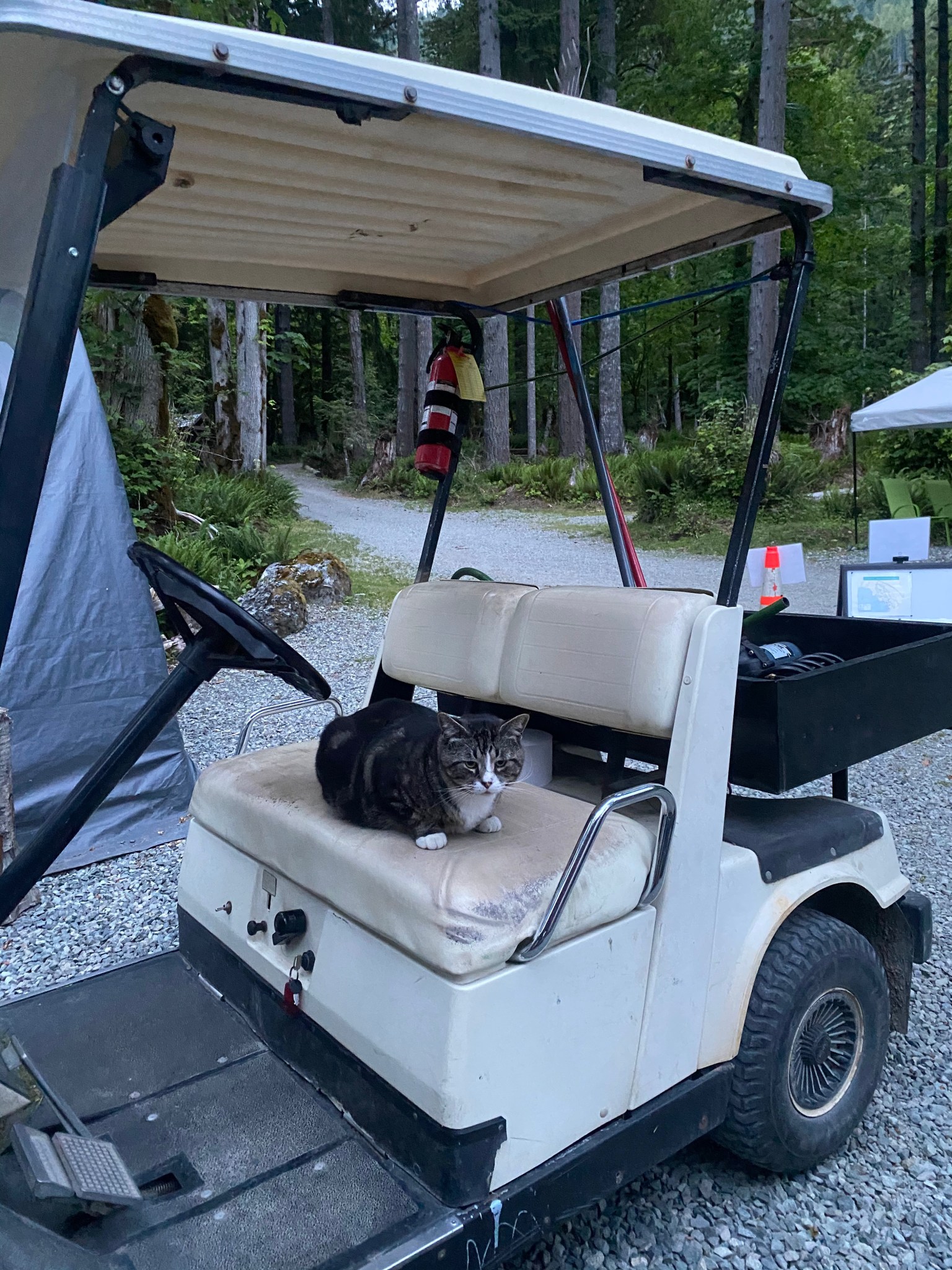 Fireside Camping | In Partnership with Recreation Sites and Trails B.C.